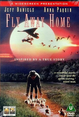 Fly Away Home Movie Filter Details - ClearPlay